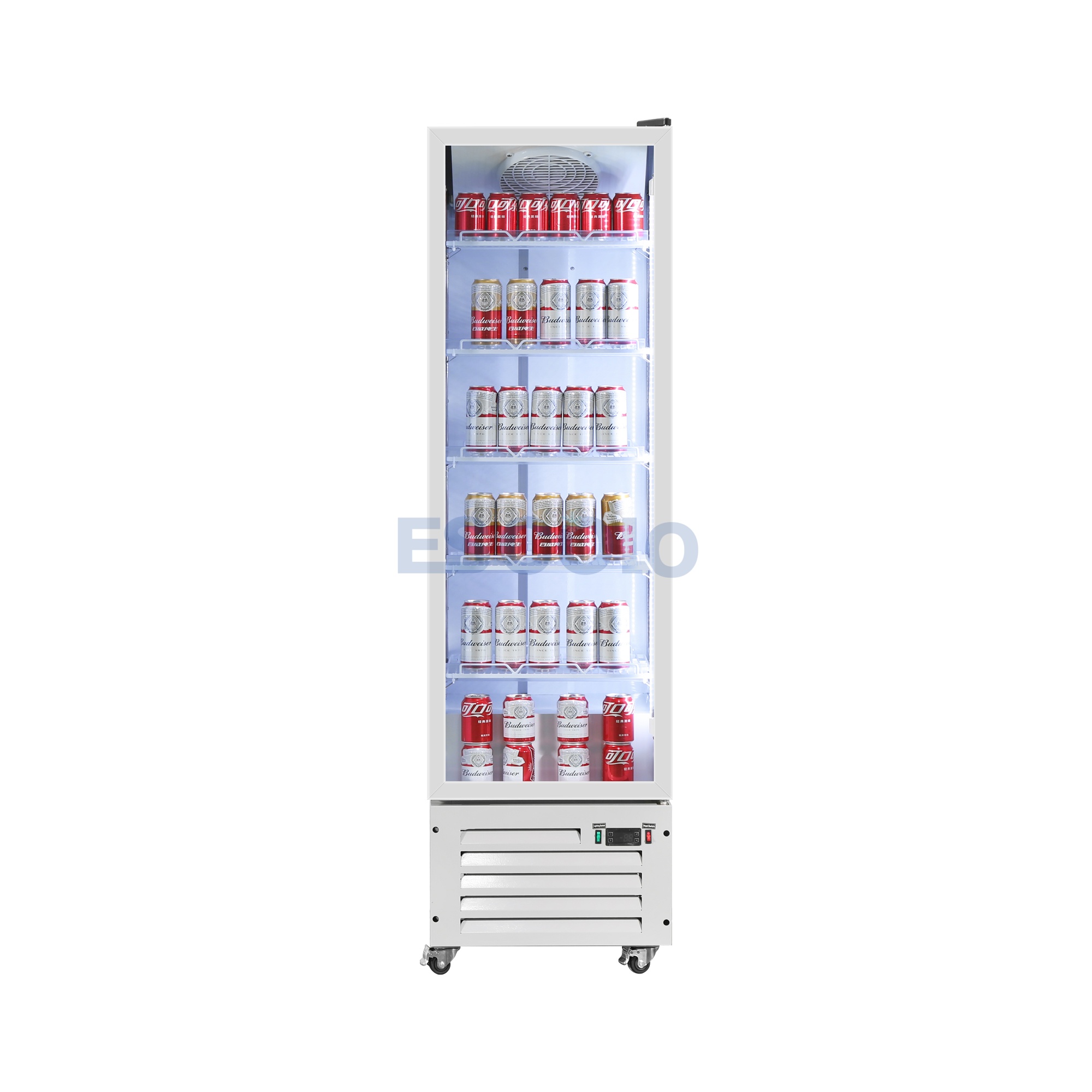 Economic Single Door Beverage Display Cooler for Commercial Use