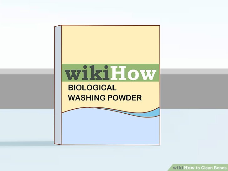 How to Clean Bones